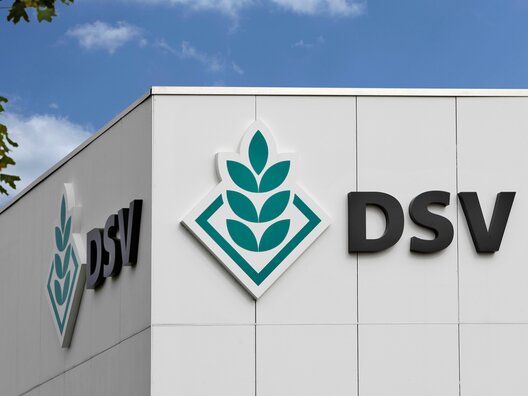 DSV | Société