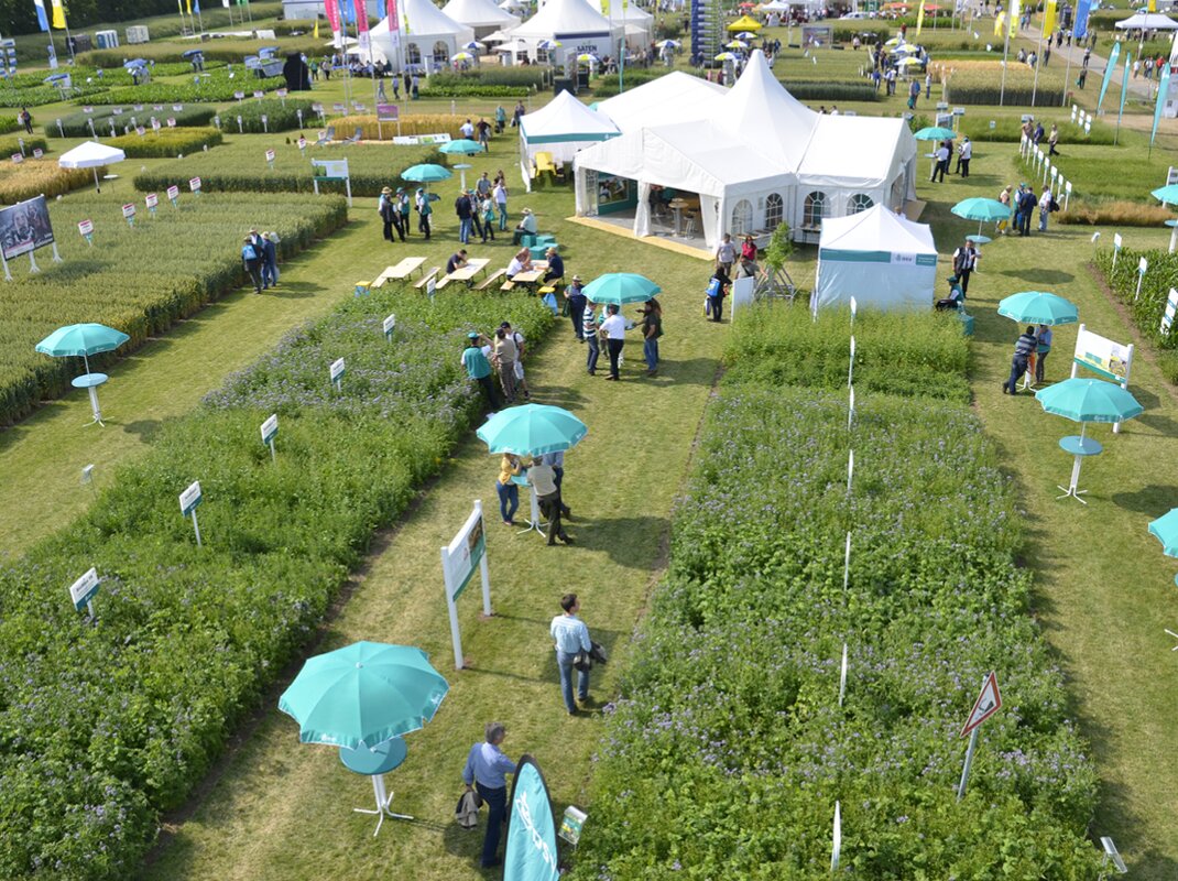 DSV | DSV France Semences et Agriculture Durable