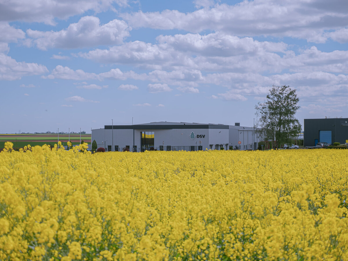 DSV | DSV France Semences et Agriculture Durable